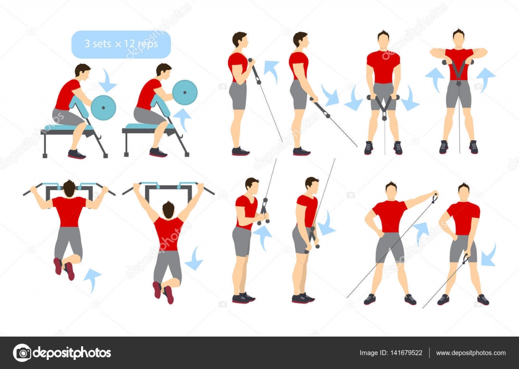 Arms workout set. — Stock Vector © inspiring.vector.gmail.com #141679522