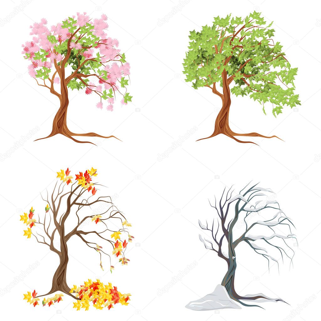 Four seasons trees. — Stock Vector © inspiring.vector.gmail.com #148227917
