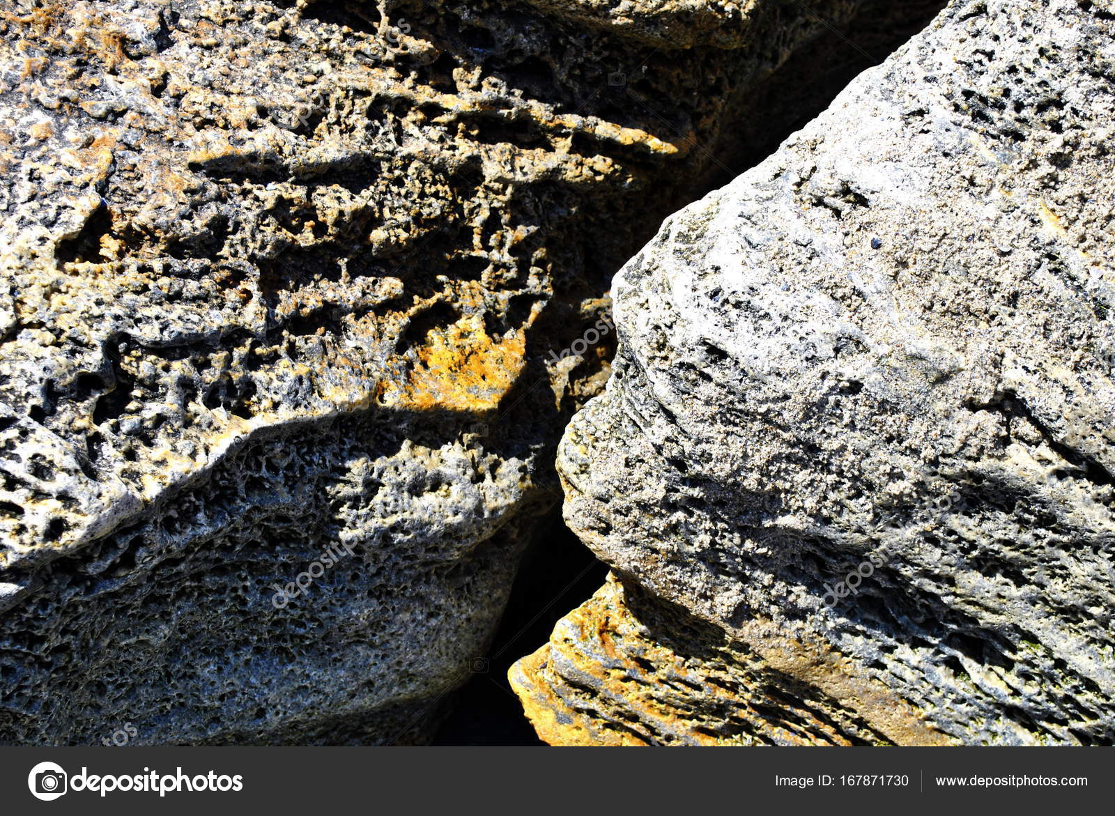 Shell stone texture Stock Photo by ©maxbax 167871730