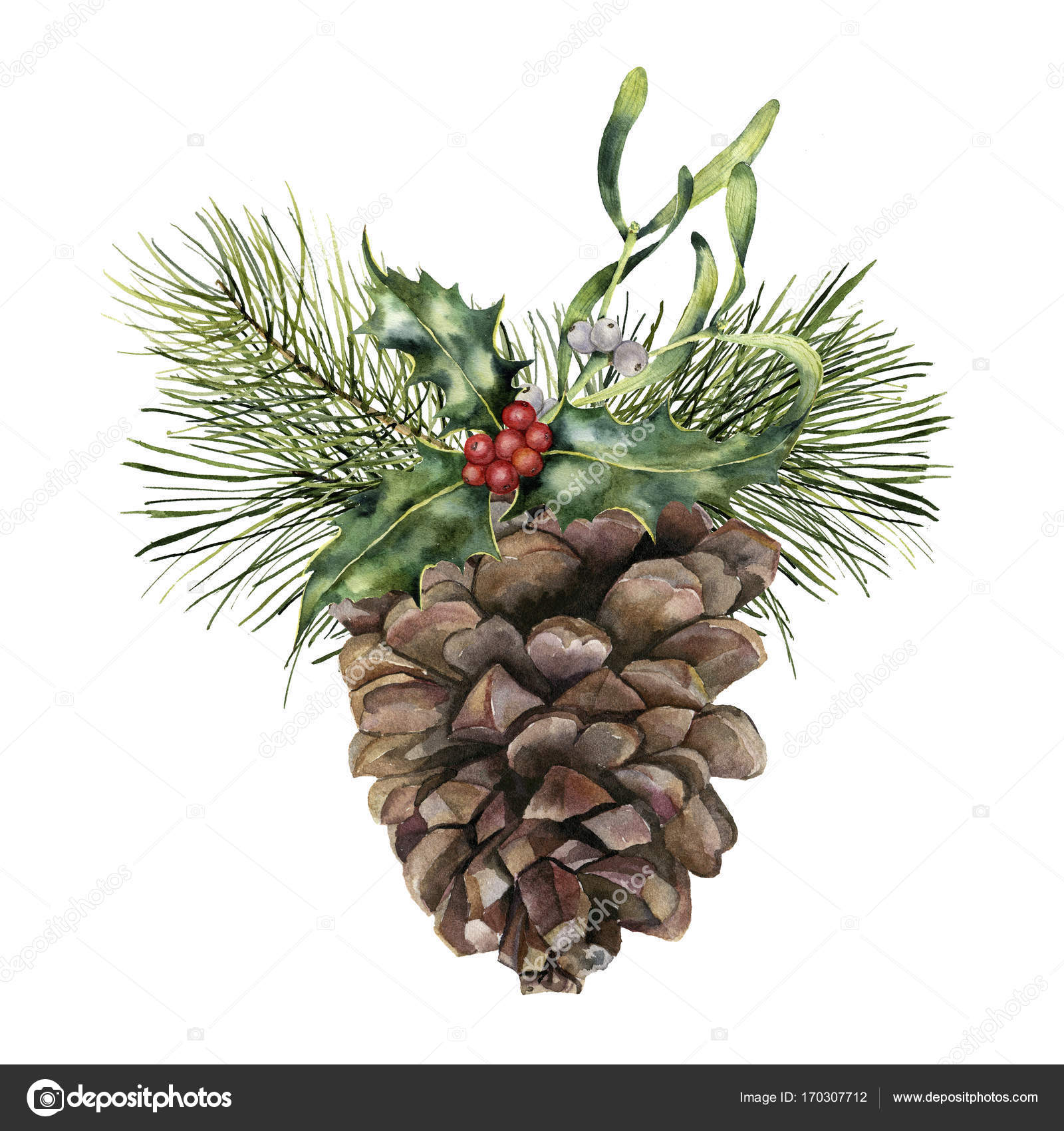 Pine Cone Clipart