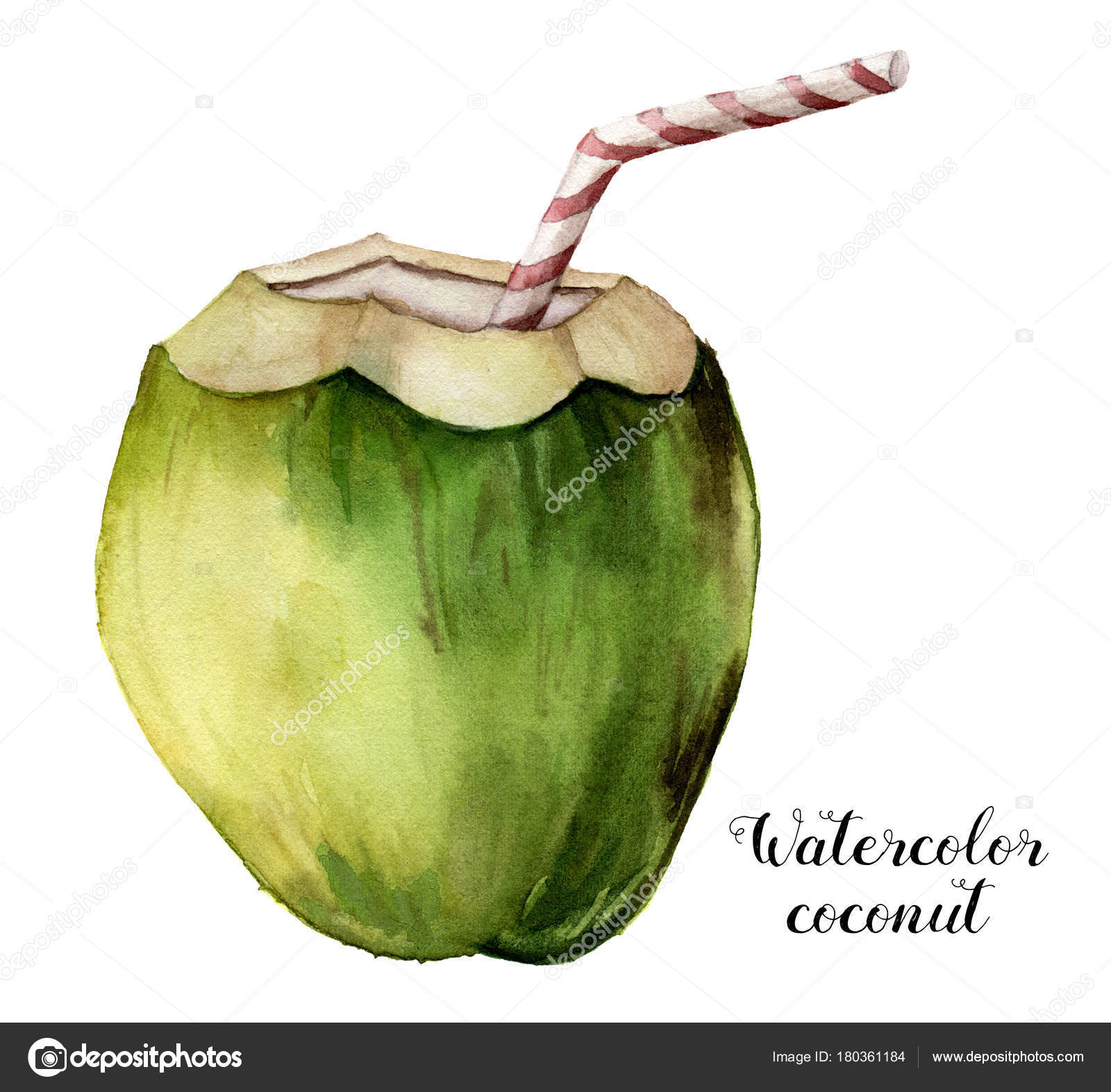 Watercolor coconut. Hand painted exotic drink with striped tube ...