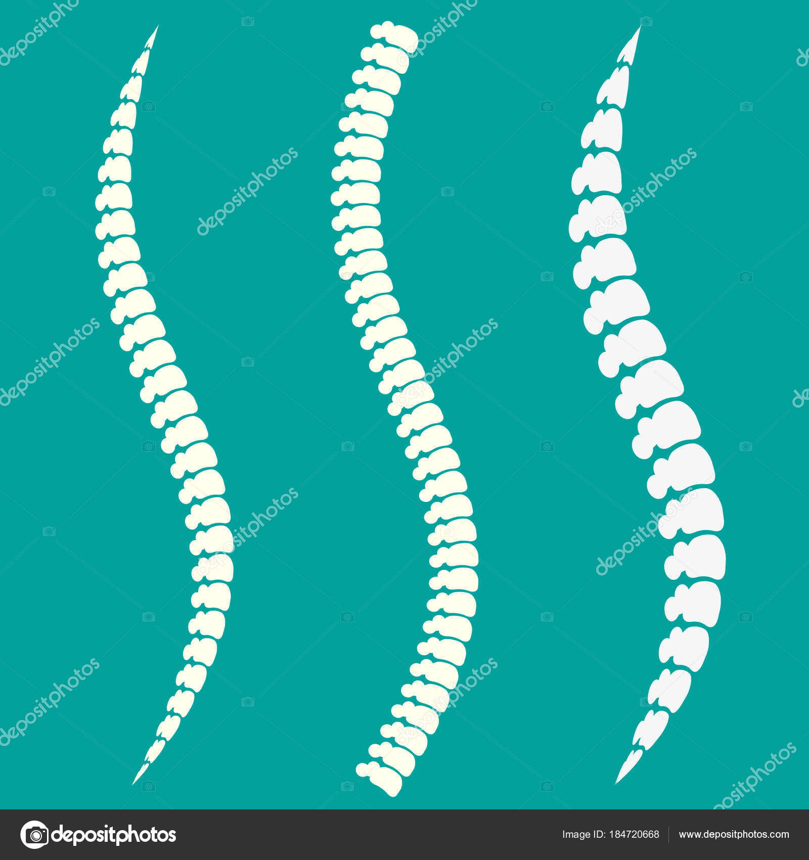 Spine vector icon. Spine diagnostics and therapy symbol. Spine set ...