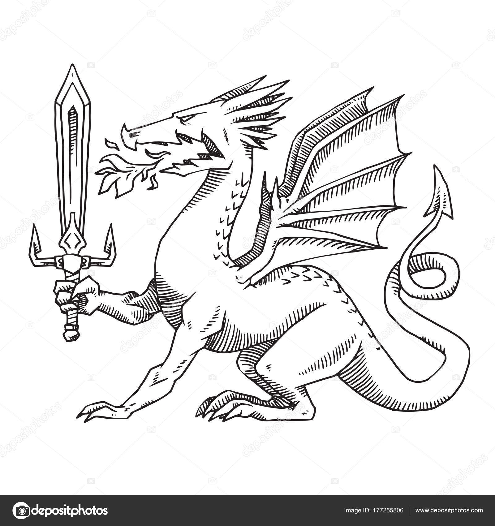 Heraldry Symbols Dragon