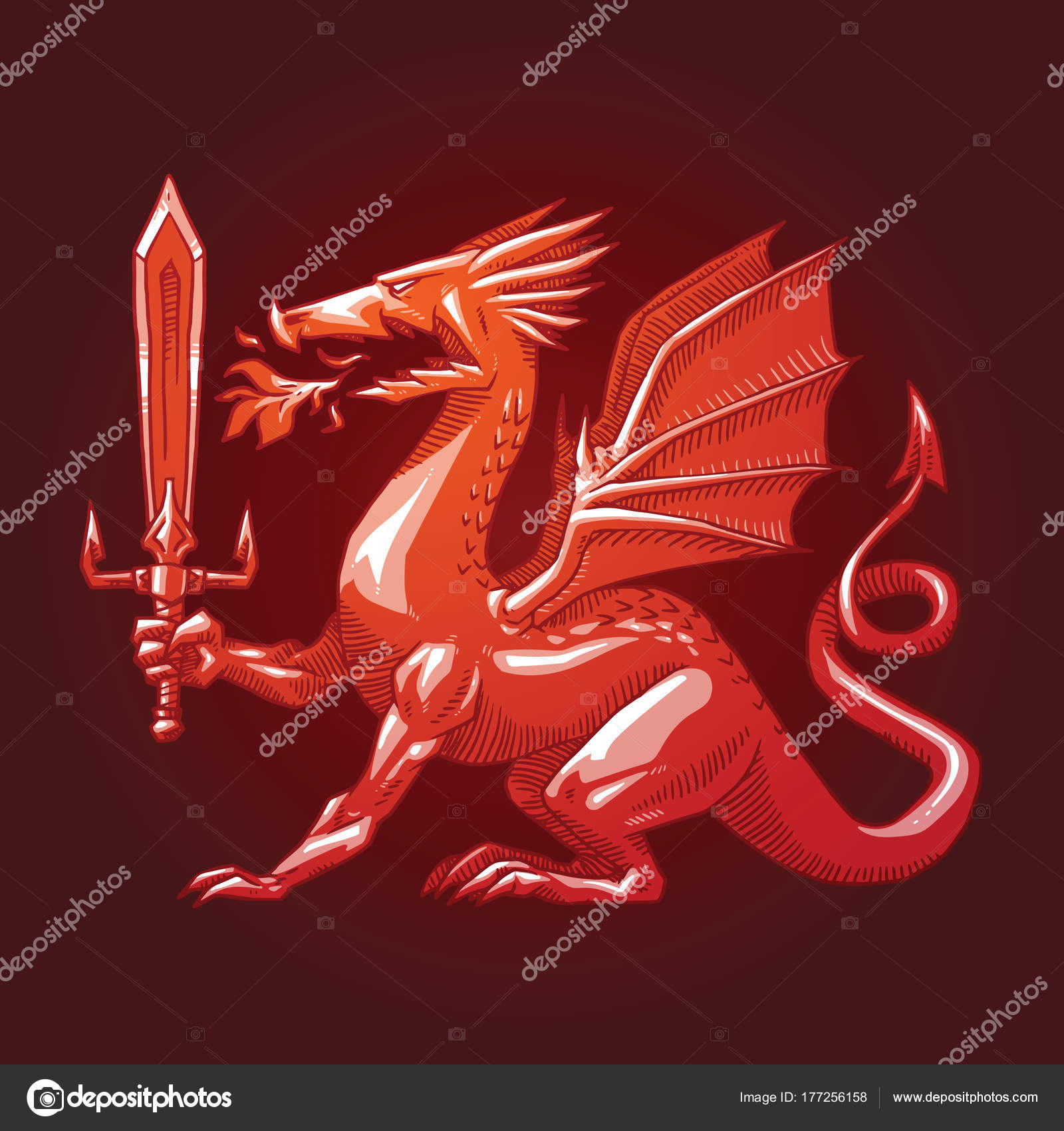 Heraldic dragon with a sword, color image Stock Vector by ©tannilion ...
