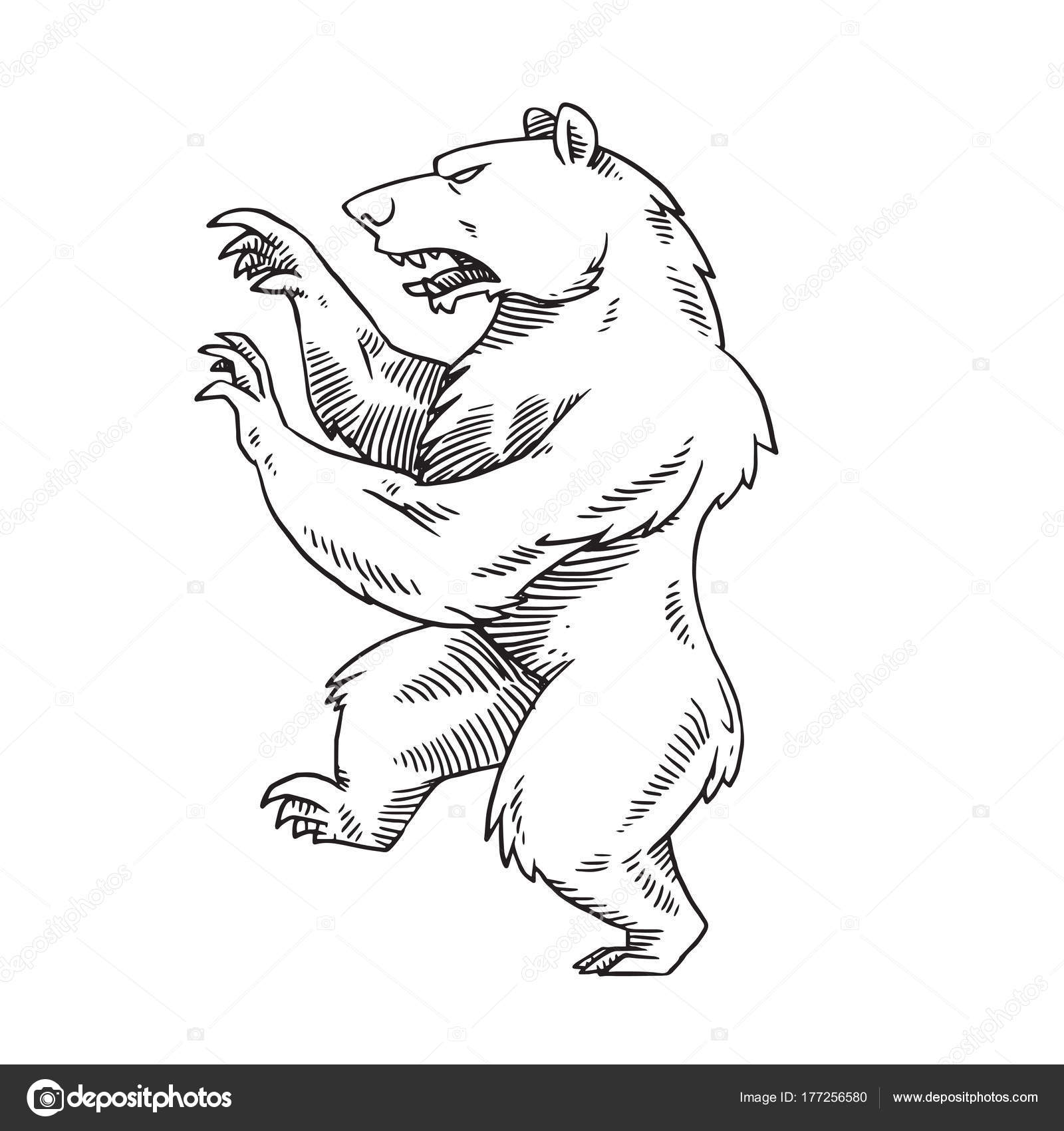 Heraldic bear turn left, monochrome style Stock Vector by ©tannilion ...