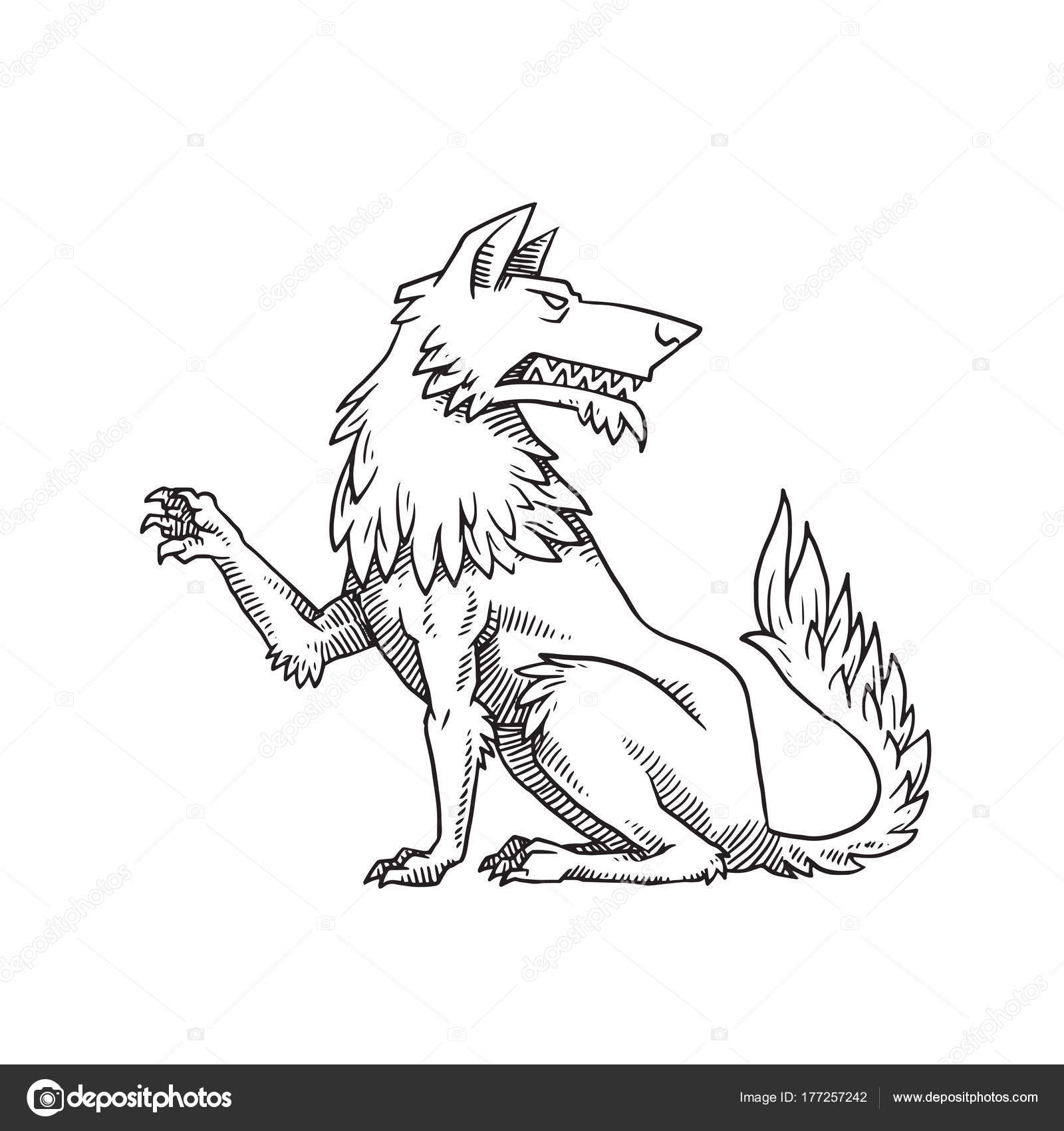 Wolf Looking Back Drawing