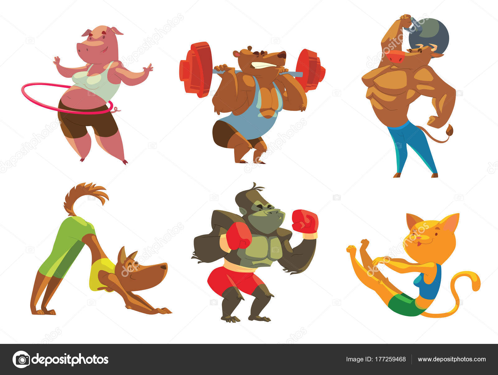 Funny Animal Workout