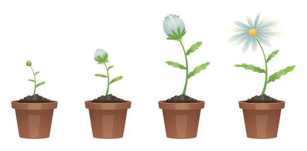 57,415 Flower of life Vector Images | Depositphotos