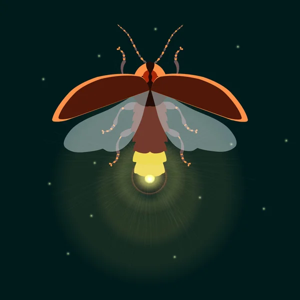 Firebug Stock Vectors, Royalty Free Firebug Illustrations | Depositphotos®