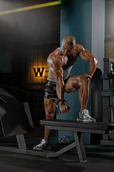 Scott Bench For Triceps