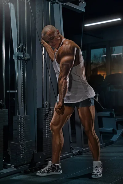 Scott Bench For Triceps