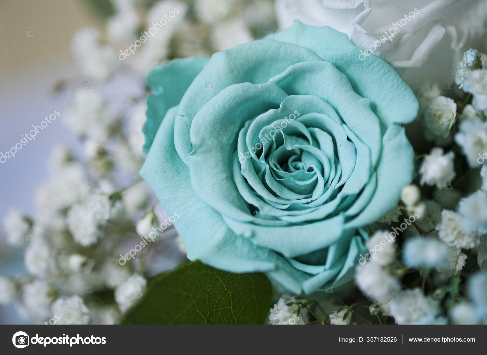 Bouquet Of Light Blue Roses