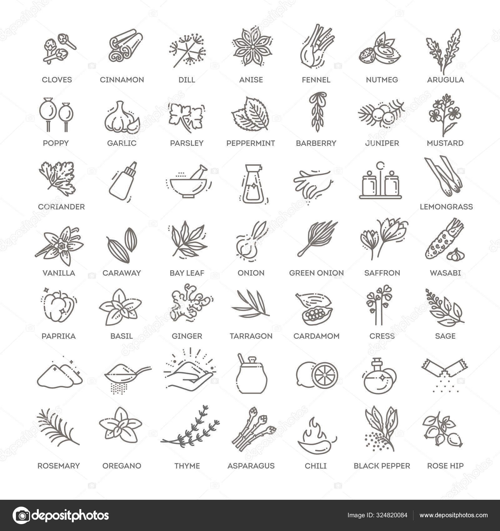 Condiment icons set. Outline set of condiment vector icons Stock Vector ...