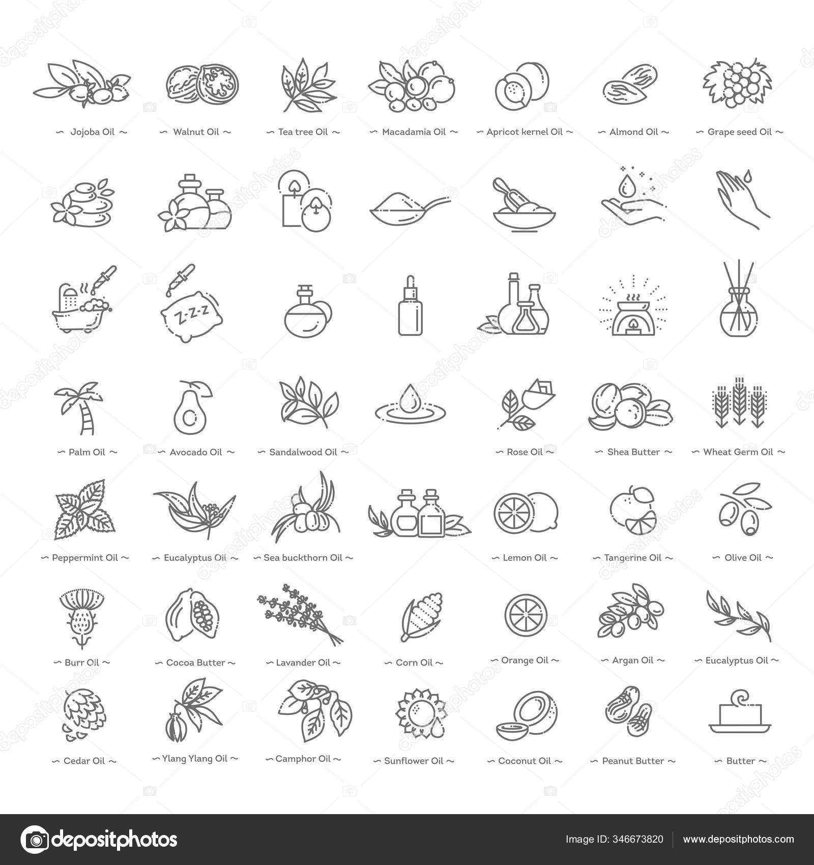 Vector set of natural ingredients Stock Vector Image by ©tettygreen ...