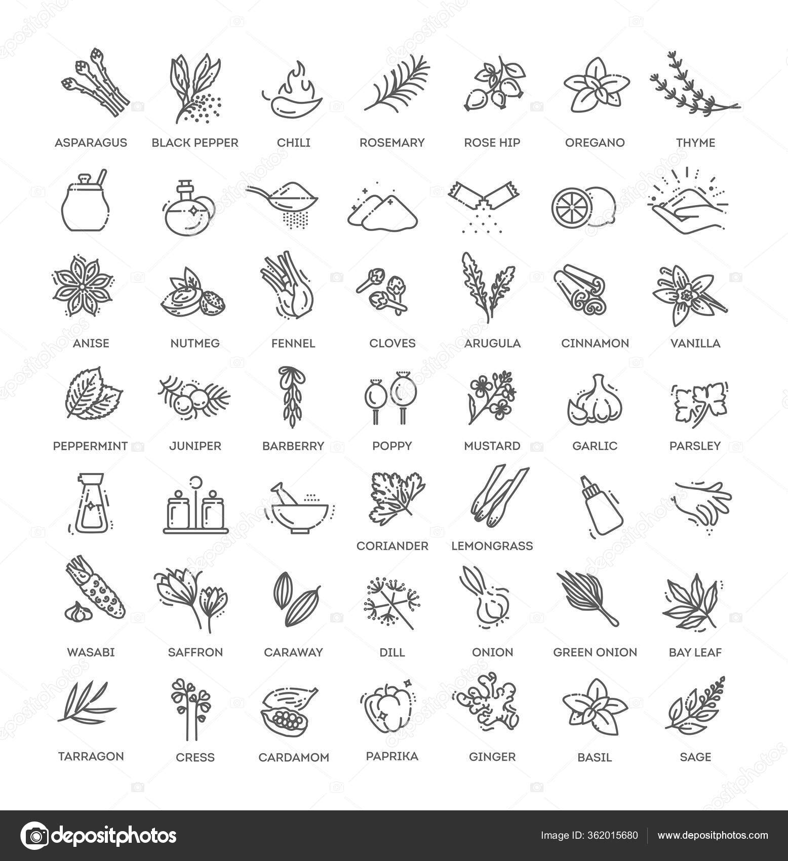 Condiment icons set. Outline set of condiment vector icons Stock Vector ...