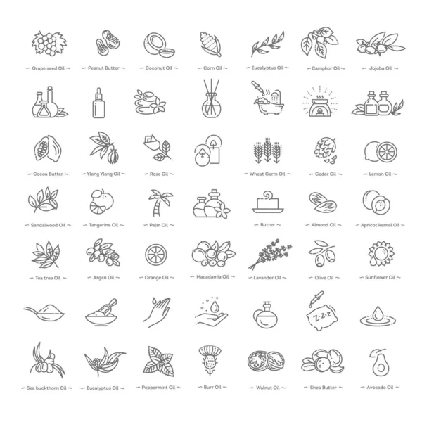 Natural ingredients Vector Art Stock Images | Depositphotos