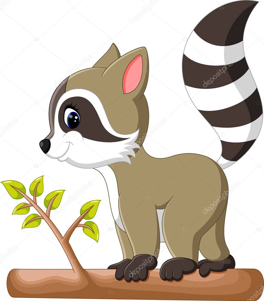 Cartone Animato Carino Procione 2 Pezzi Carino Cartone Animato