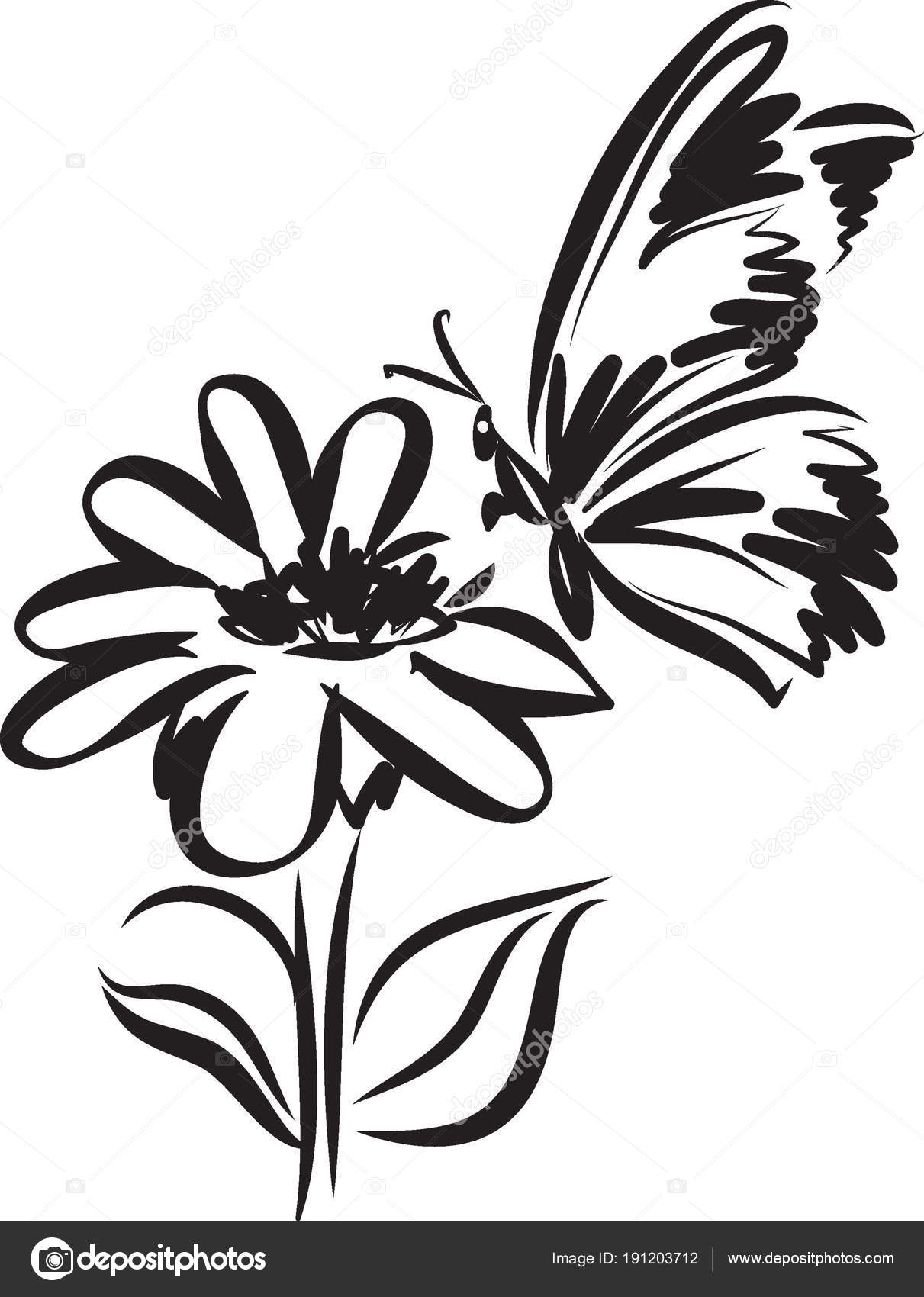 Butterfly And Flower Vector