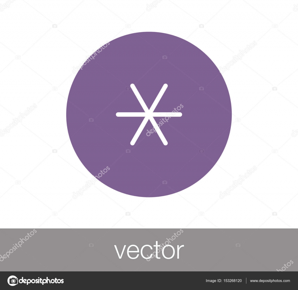 Star key icon — Stock Vector © signsandsymbols@email.com #153268120