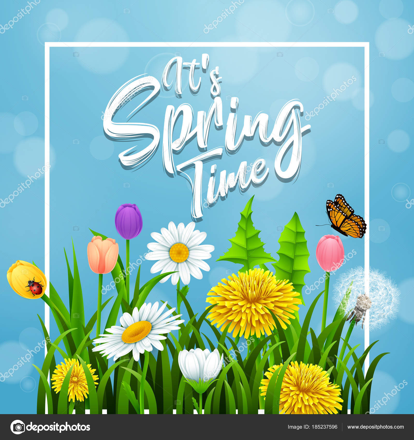 Spring Time Beautiful Meadow Flowers Blue Background Stock Vector Image ...
