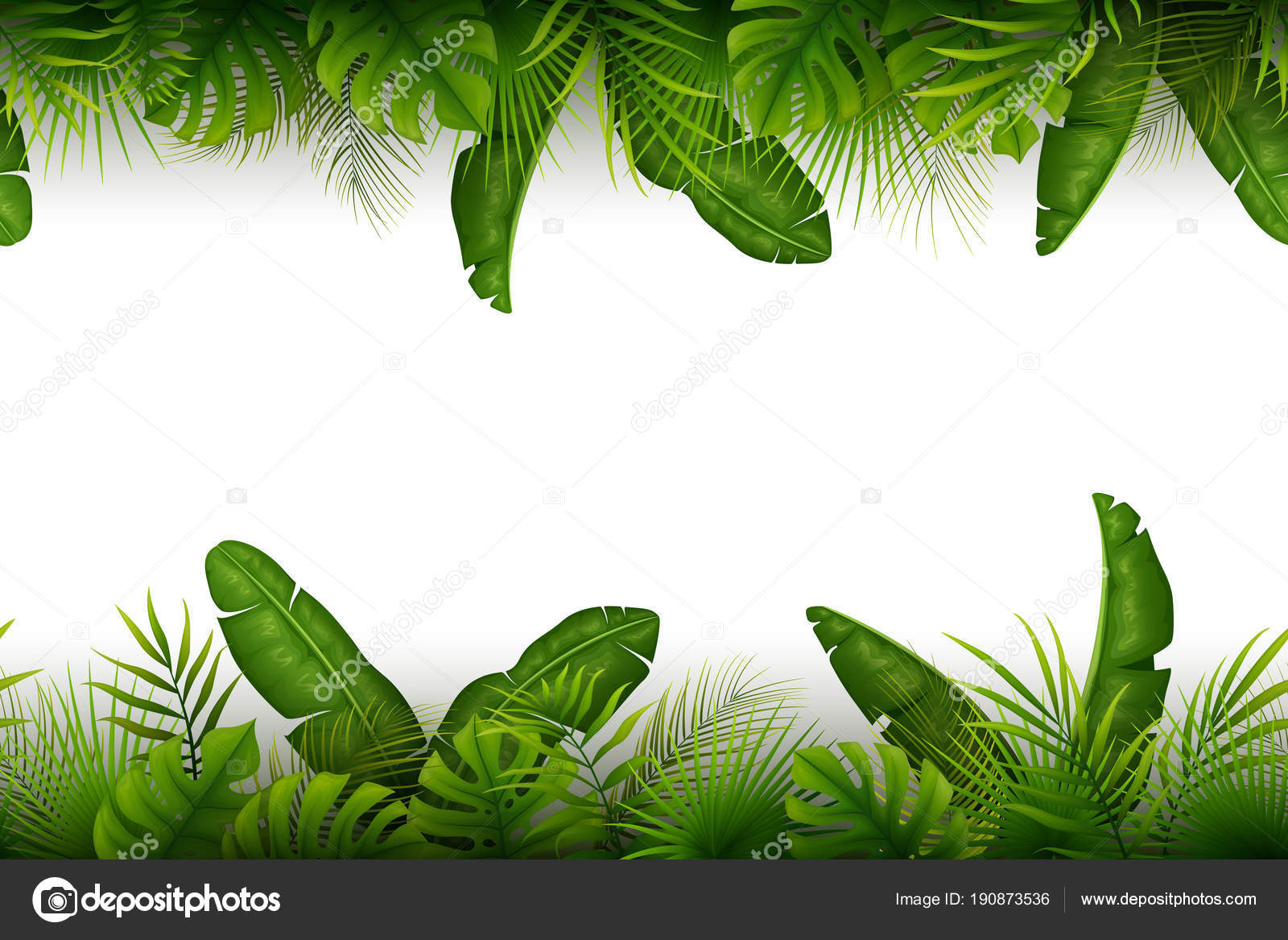 Fondo De Selva Tropical 1.5X0.9M Fondo Del Bosque Selva Tropical Selva