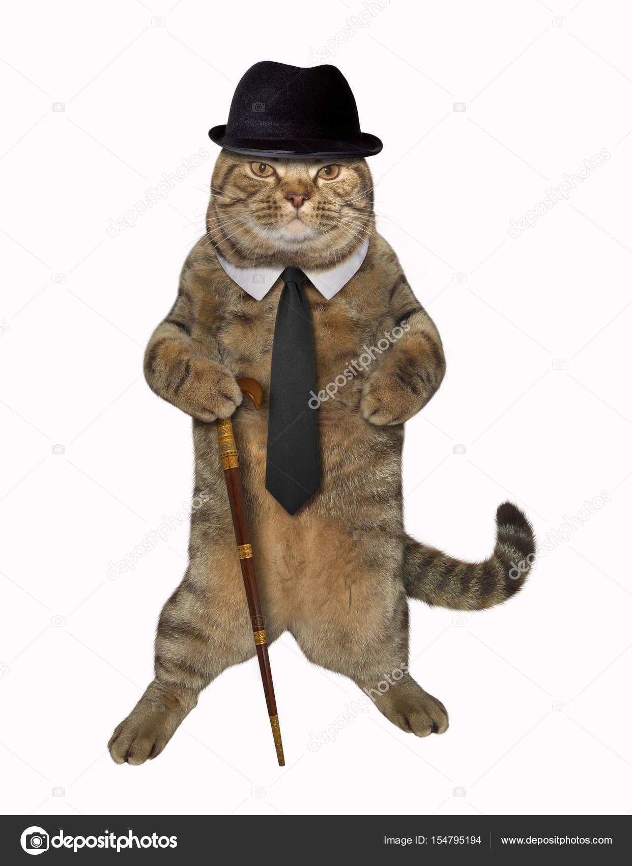 Cat dandy with cane Stock Photo by ©Iridi 154795194