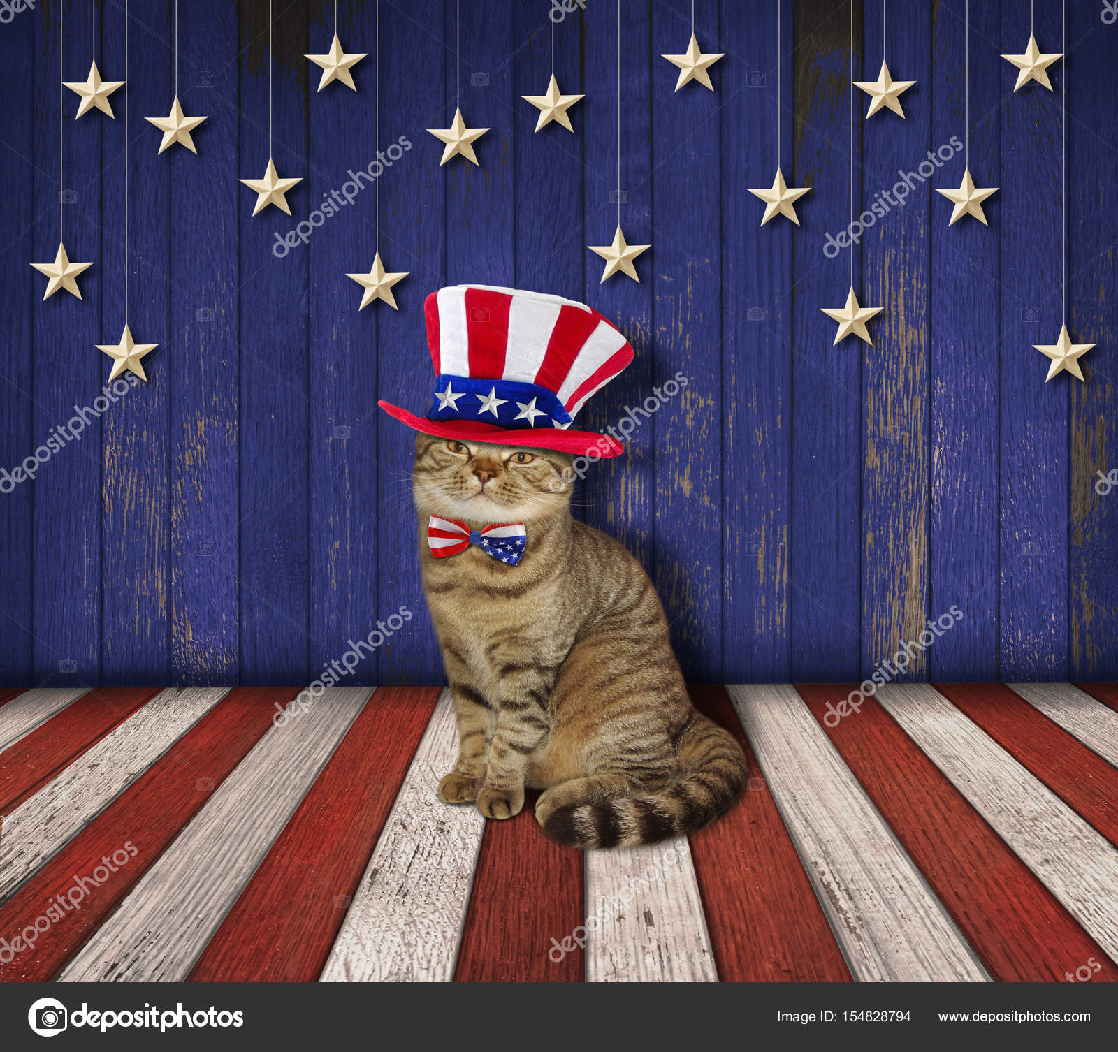 Patriotic Tabby Cat
