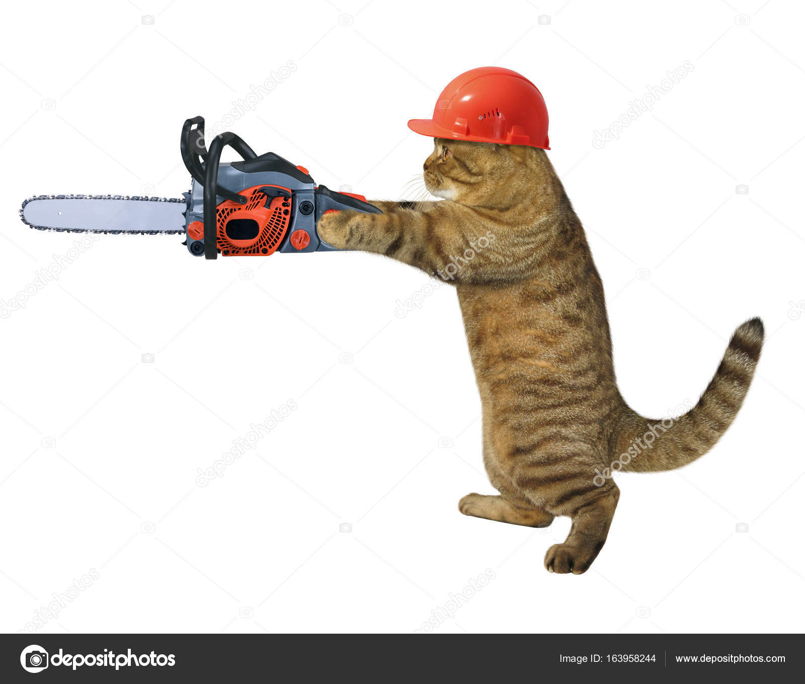 Cat builder with chainsaw Stock Photo by ©Iridi 163958244