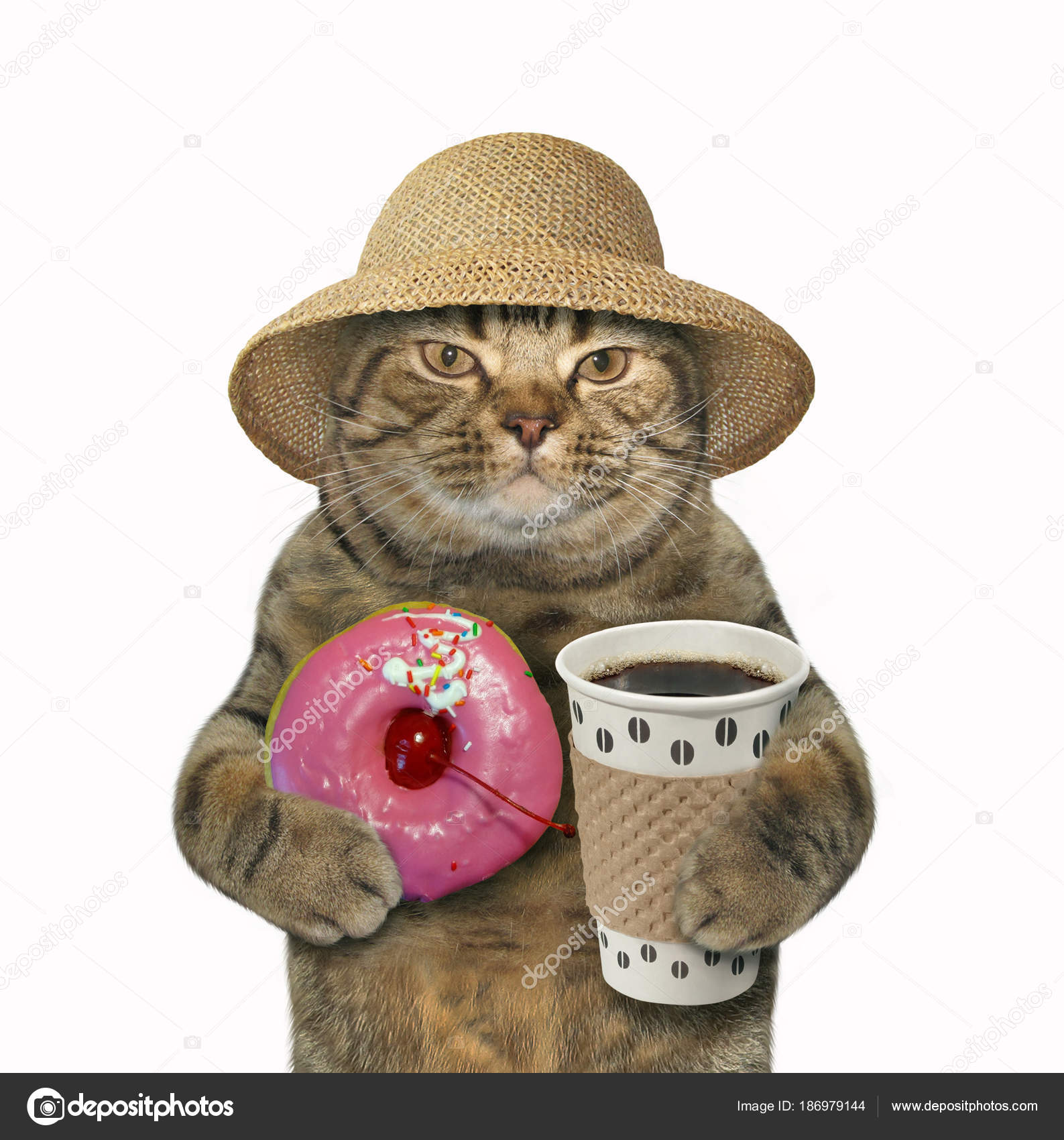 Cat with pink donut and coffee ⬇ Stock Photo, Image by © Iridi #186979144