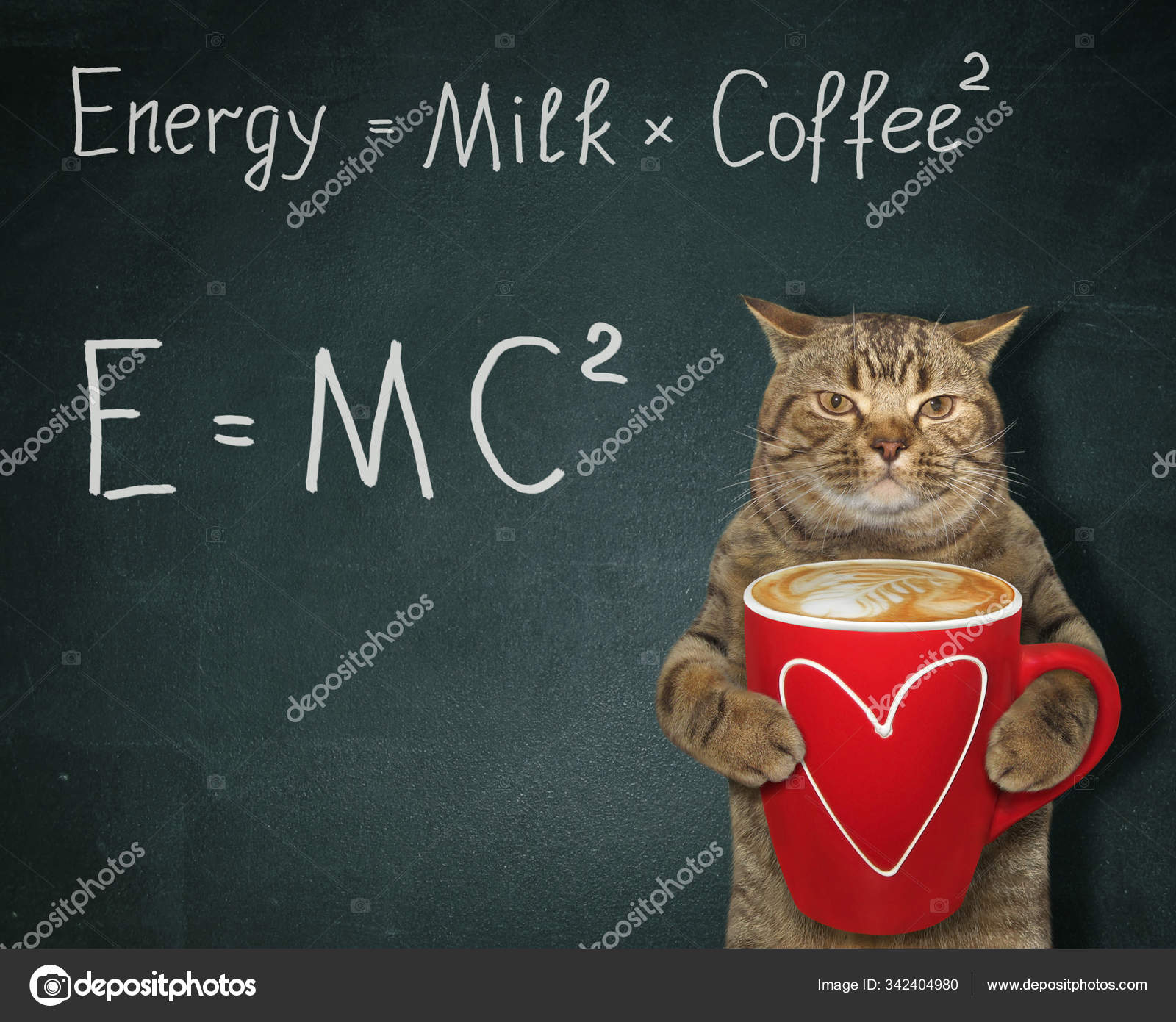 Cat with energy coffee Stock Photo by ©Iridi 342404980