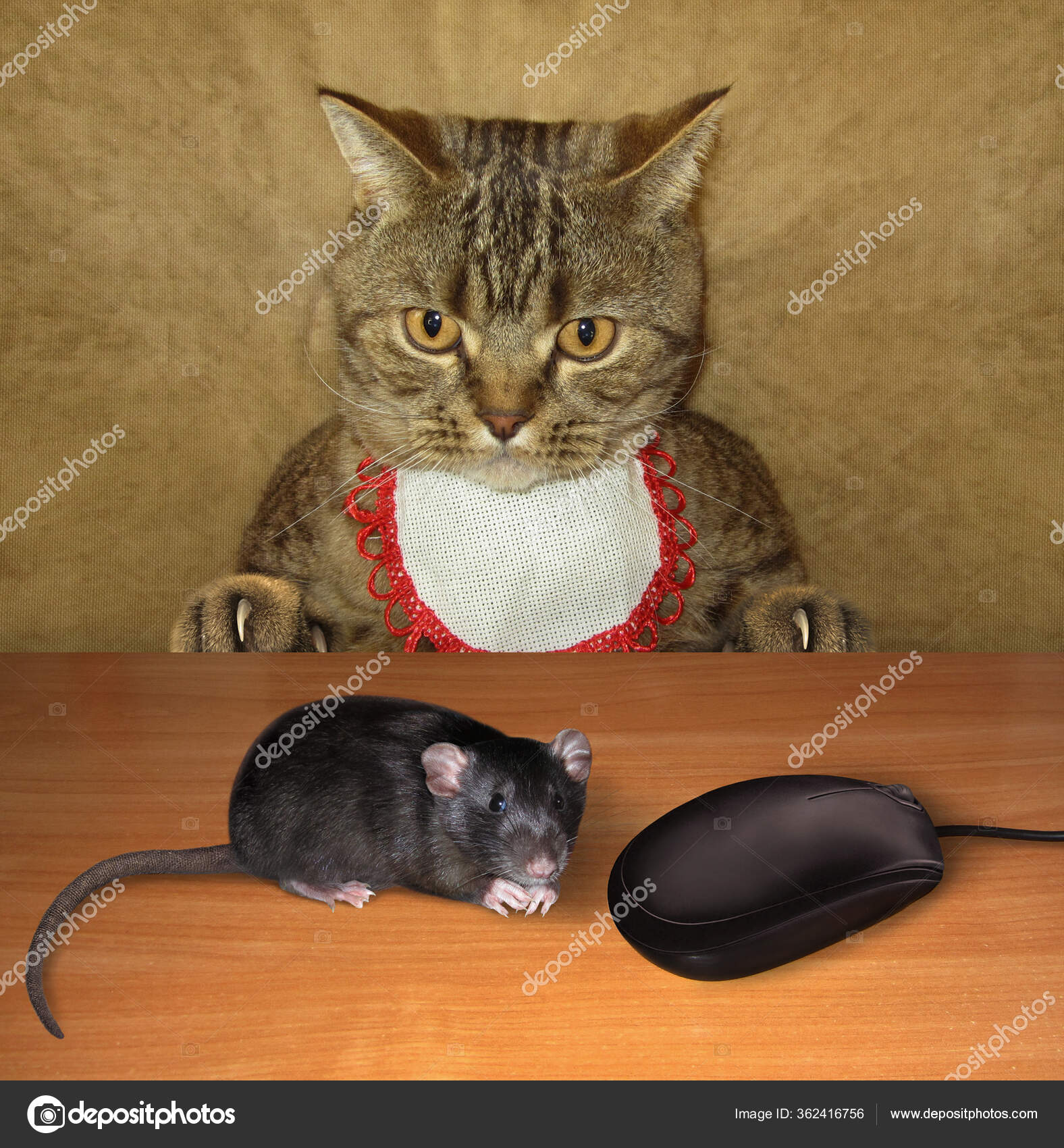 Beige Surprised Cat Bib Sitting Table Black Rat Computer Mouse — Stock ...