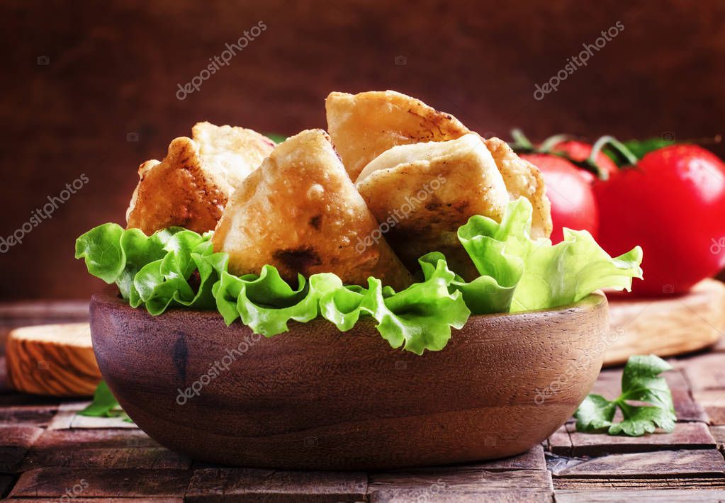 Pastelitos fritos caseros con carne en un tazón 2024