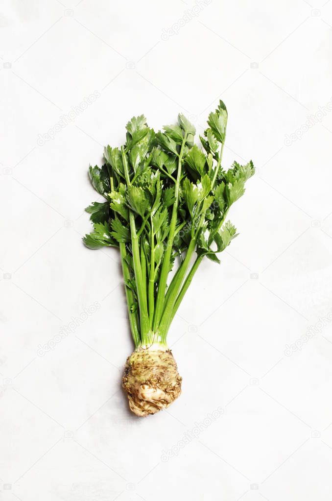 Apio de raíz con tallos verdes, fondo gris, vista superior 2023