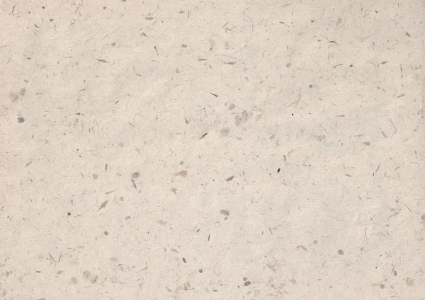 Kraft paper texture — Stock Photo © apagafonova #186902308