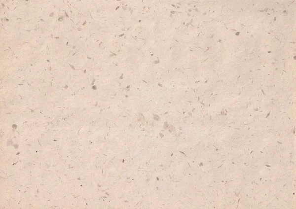 Kraft paper texture — Stock Photo © apagafonova #186902308