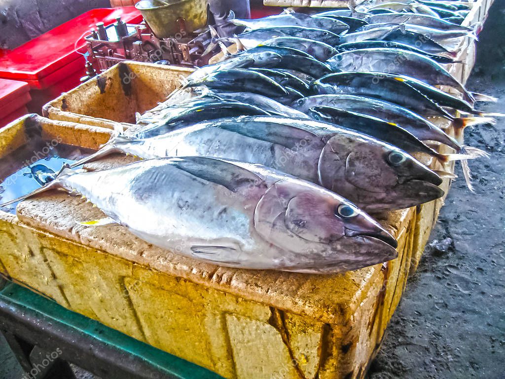 Primer plano de la raya fresca en el mercado abierto en Bali 2023