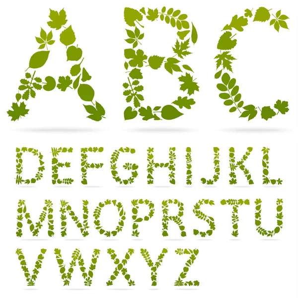 Botany word Vector Art Stock Images | Depositphotos