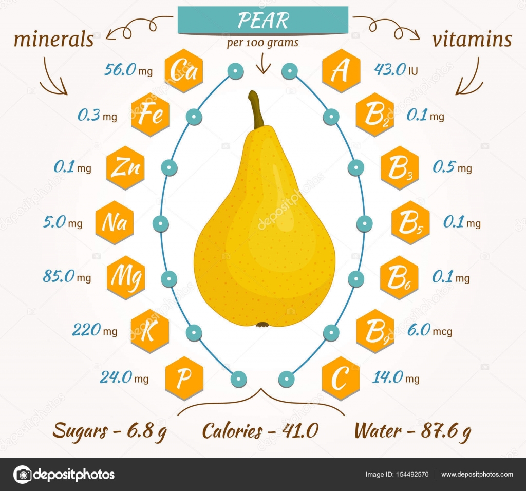Vector pear infographics. Stock Vector Image by ©kurmanstock.gmail.com ...