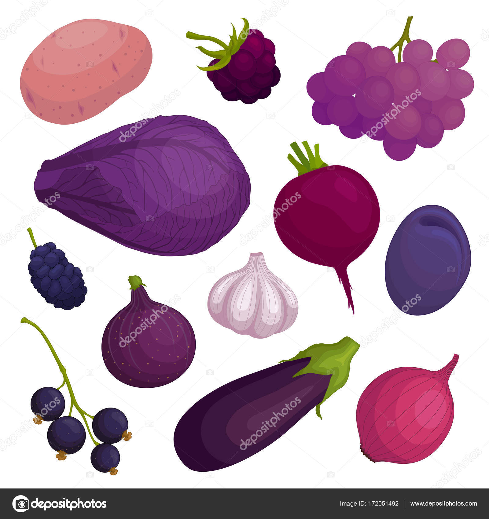 Conjunto Vectorial Comida Morada Verduras Violetas Frutas Bayas Vector ...