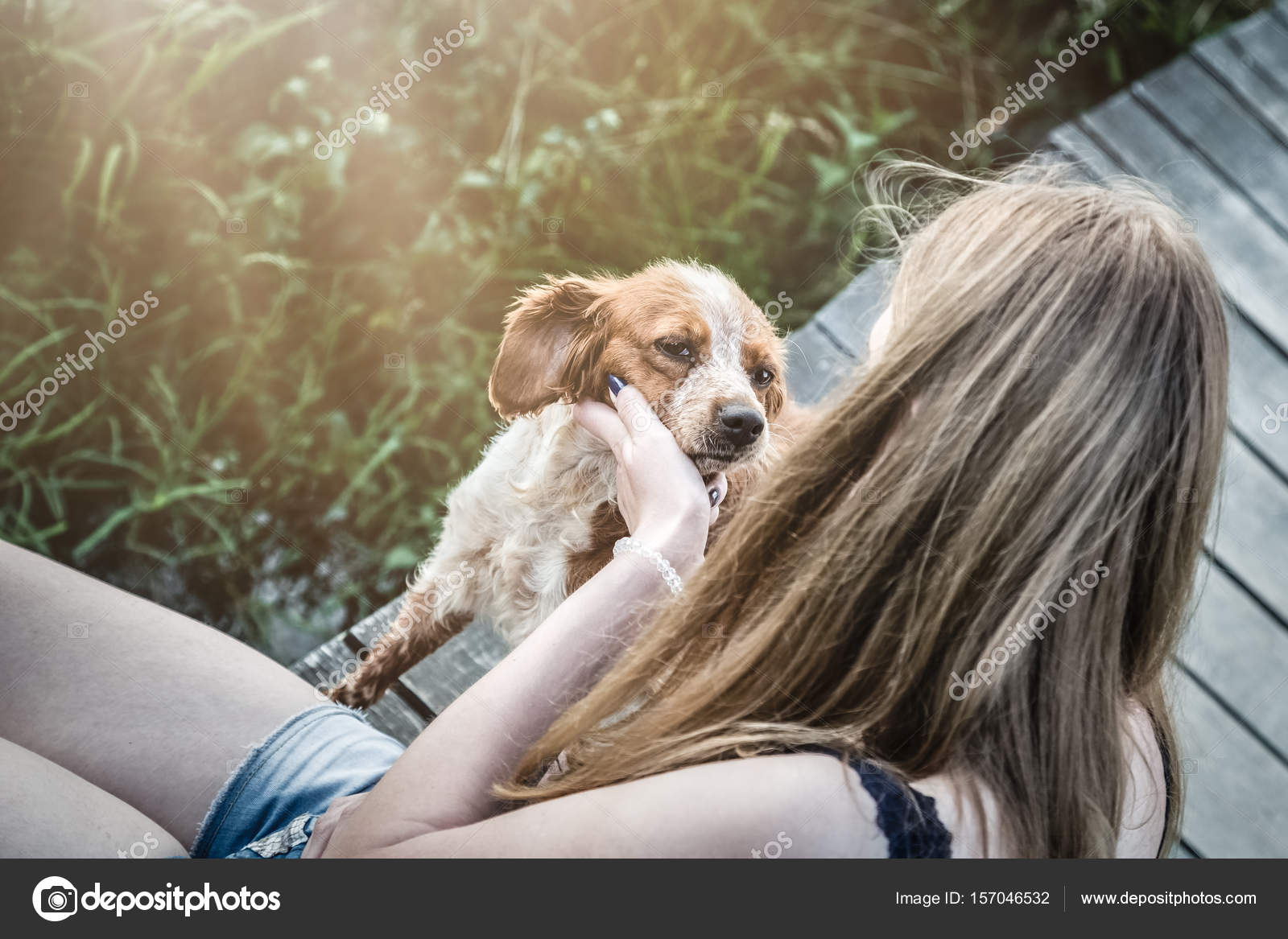 Young female and her brittany spaniel dog pet. Friendship and lo — Stock Photo © Zoff-photo ...