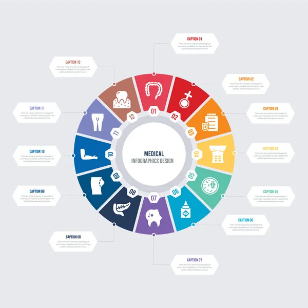 276 12 part infographic Vector Images, 12 part infographic ...