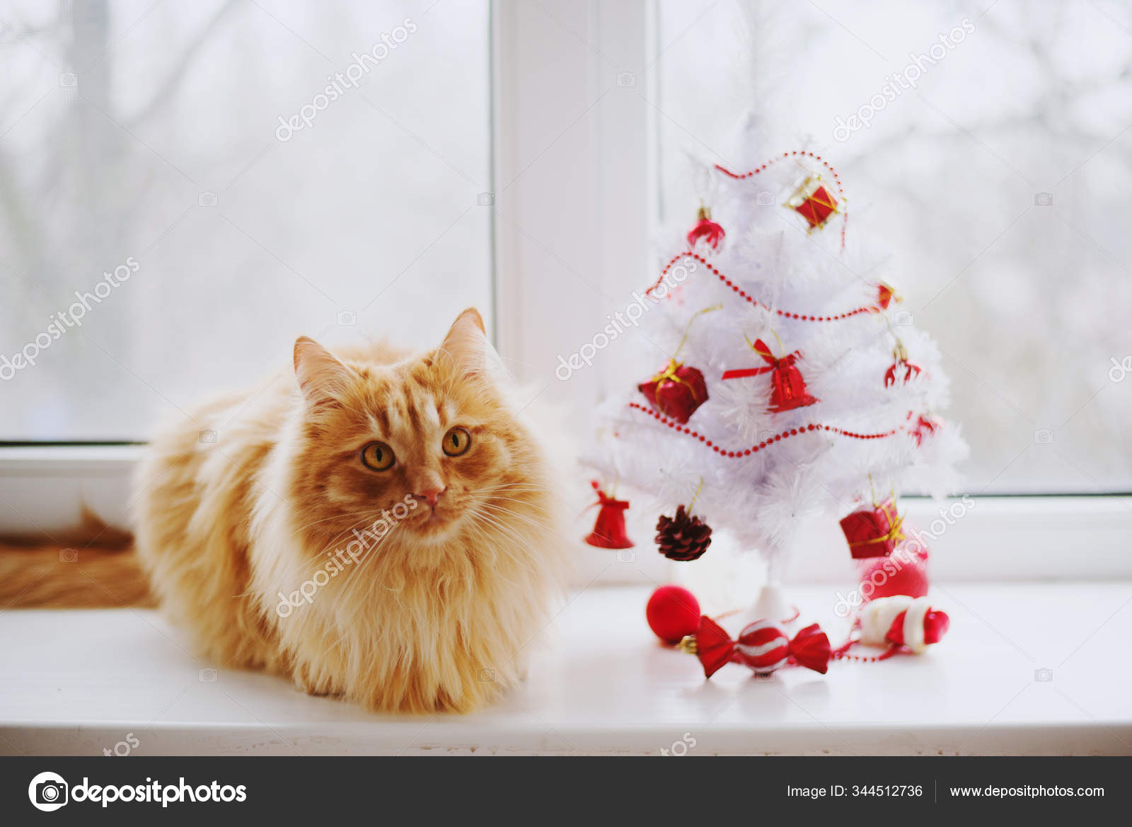 Cute Ginger Cat Window Sill Christmas Tree Looking Camera Stock Photo ...