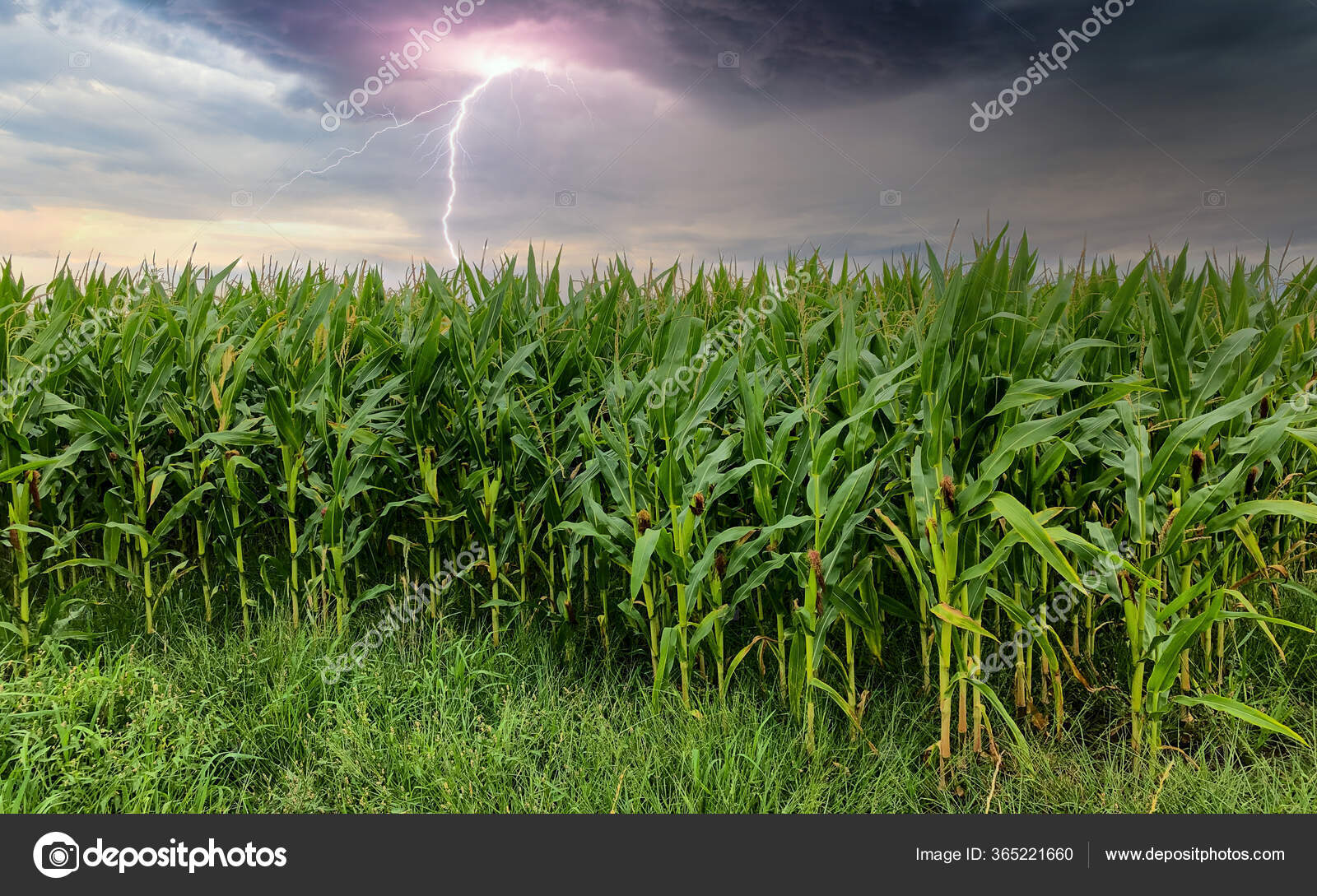 Tormenta De Cielo Verde