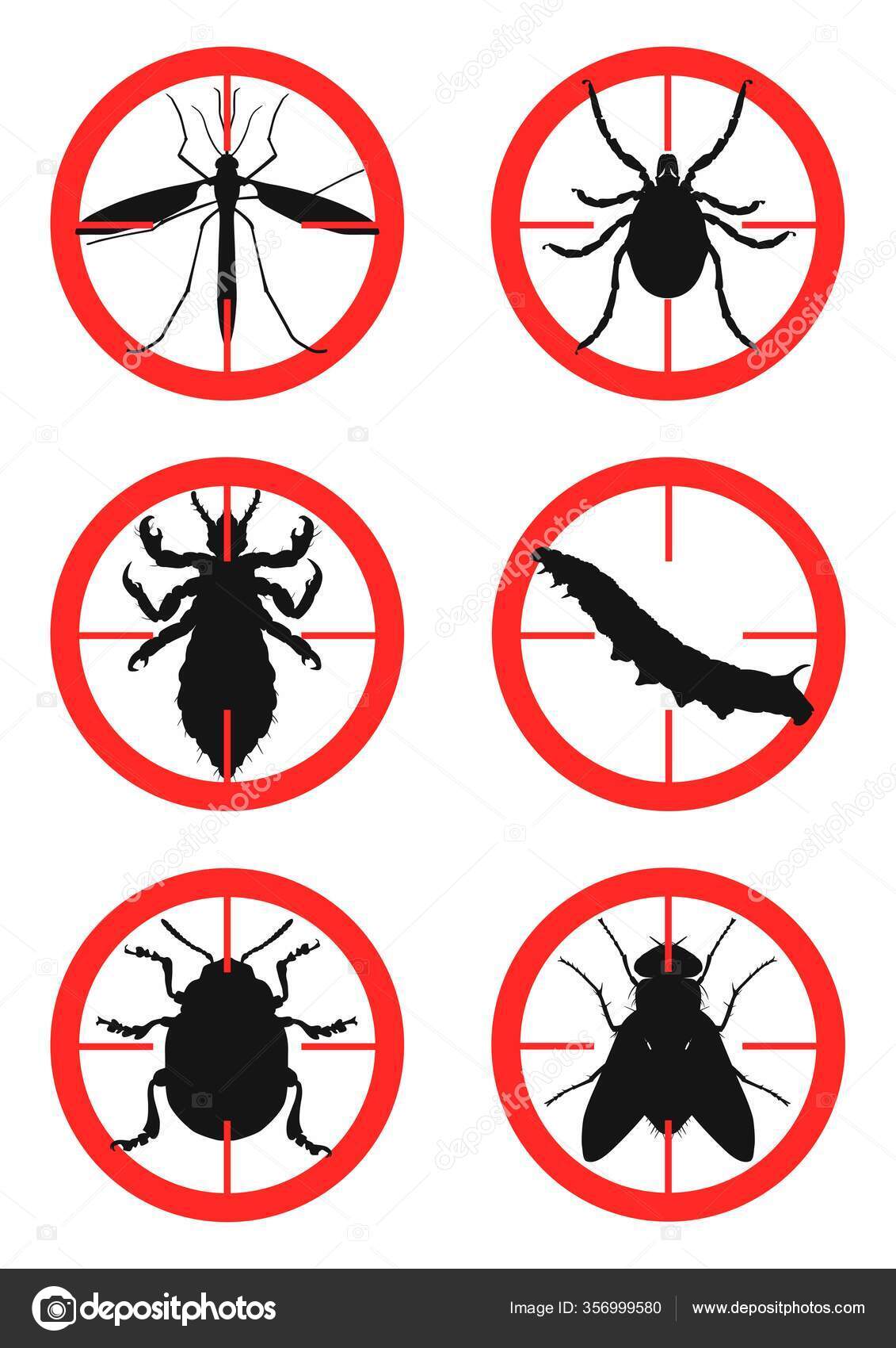 Set of warning signs with insects. Pests. Vector illustration Stock ...
