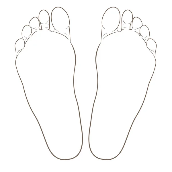 Feet Outline Clip Art