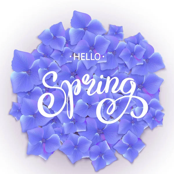 Daisy Flower Spring Hand Lettering Isolated White Vector Illustration ...