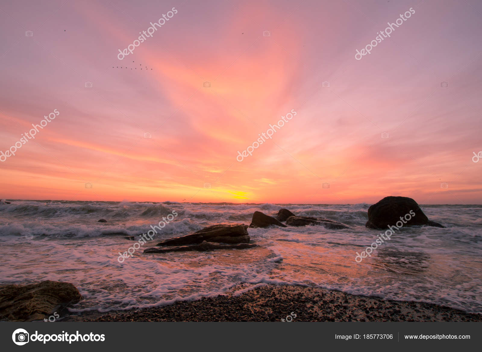 Pink Sunrise Photography