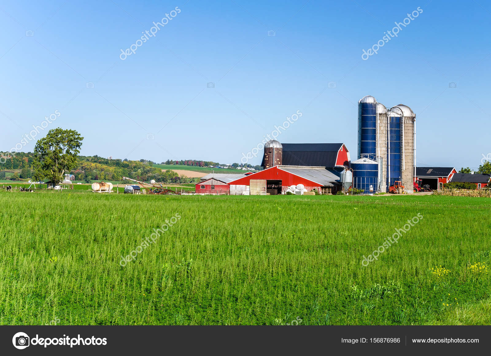American Farming Photography