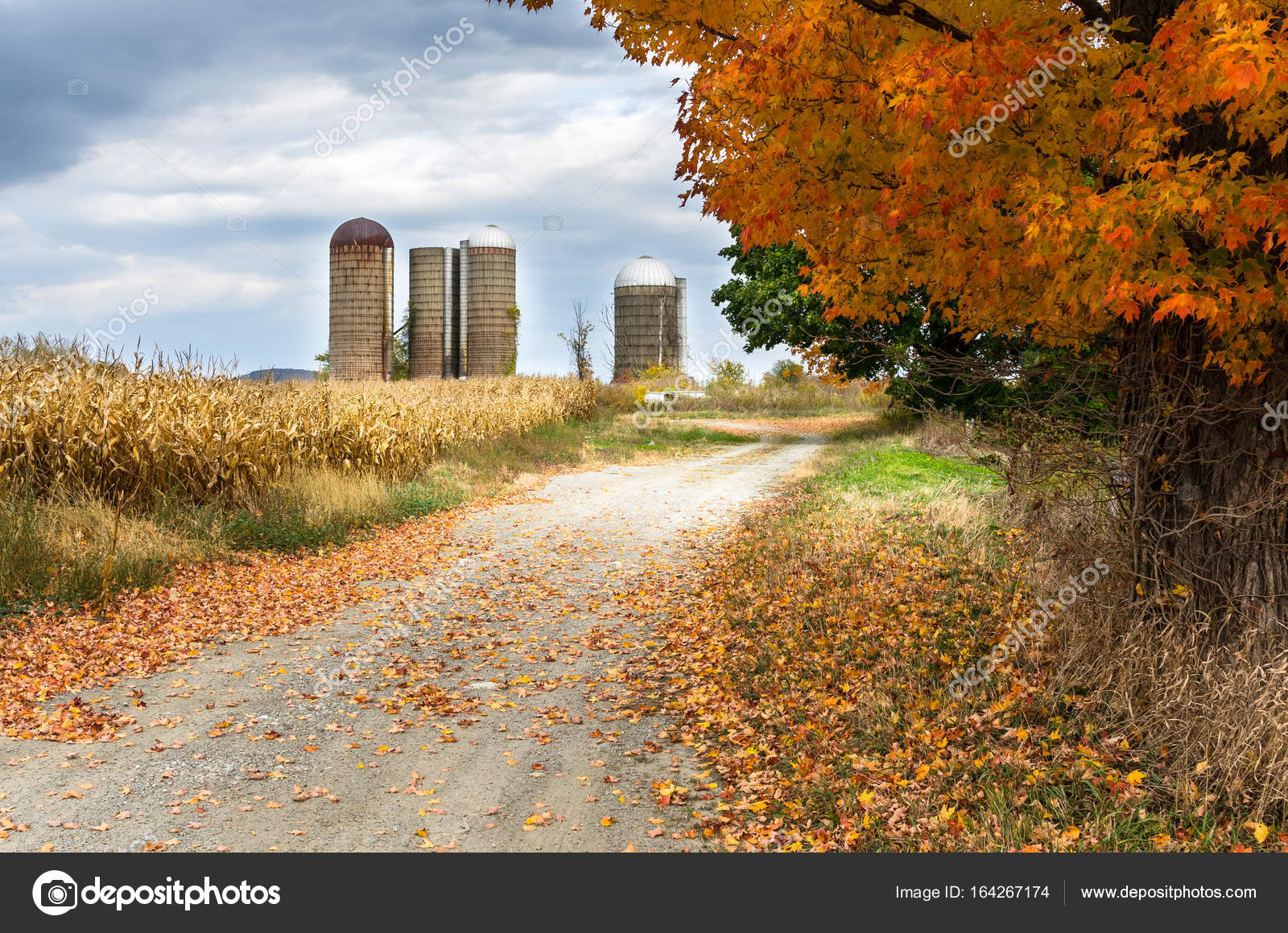 Old Traditional Silos in Rural America on a Cloudy Autumn Day ⬇ Stock ...