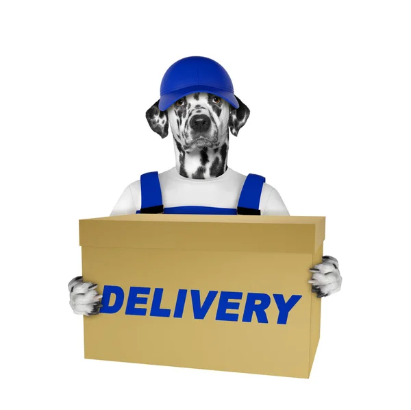 Delivery and dog Stock Photos, Royalty Free Delivery and dog Images ...